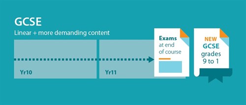 OPTIONS AT 16 - Young Ealing
